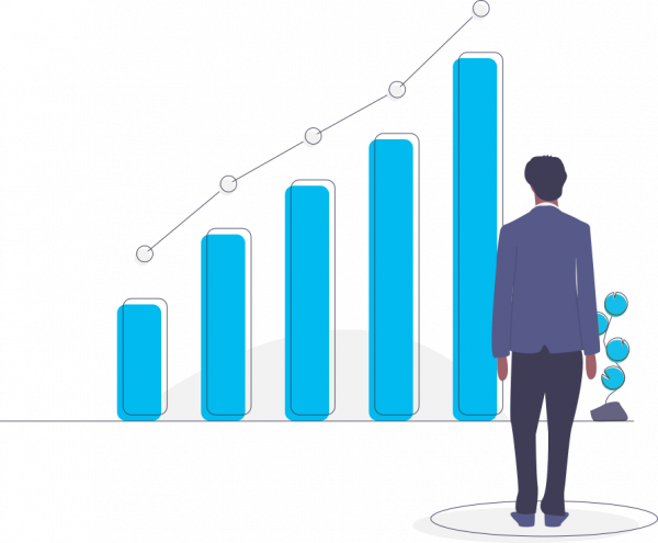 Transparent FX | Forex Trading Mentorship | Forex Trading Course