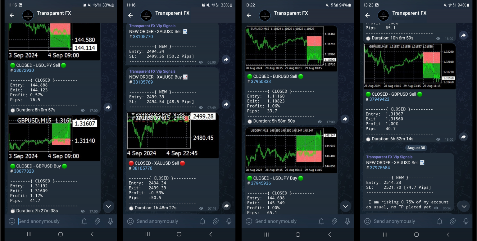 Transparent FX | Forex Trading Mentorship | Forex Trading Course